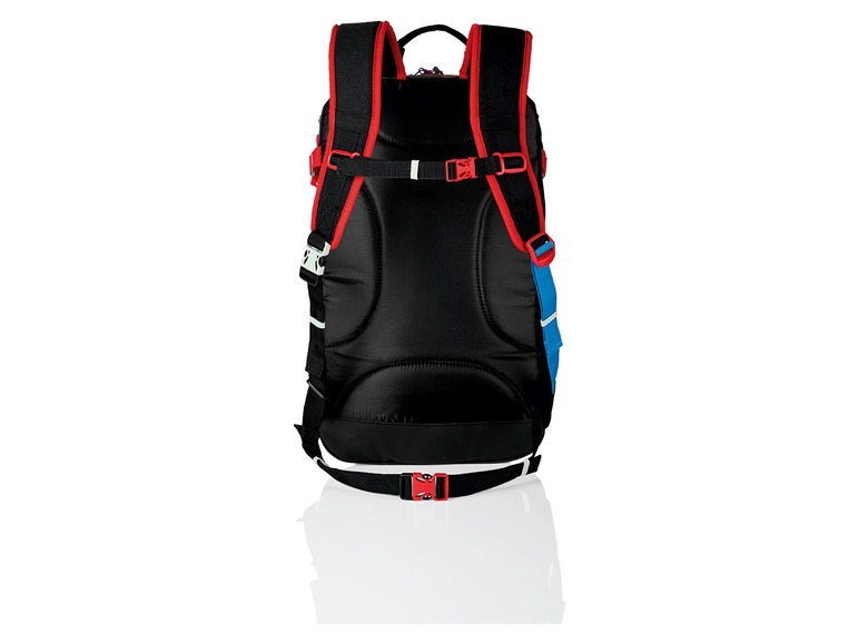 CRIVIT®PRO Ski-Rucksack online kaufen | LIDL
