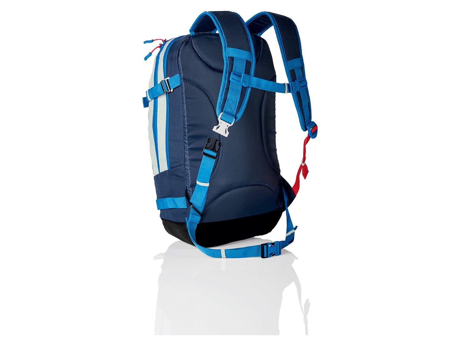 crivit PRO Ski-Rucksack online kaufen | LIDL