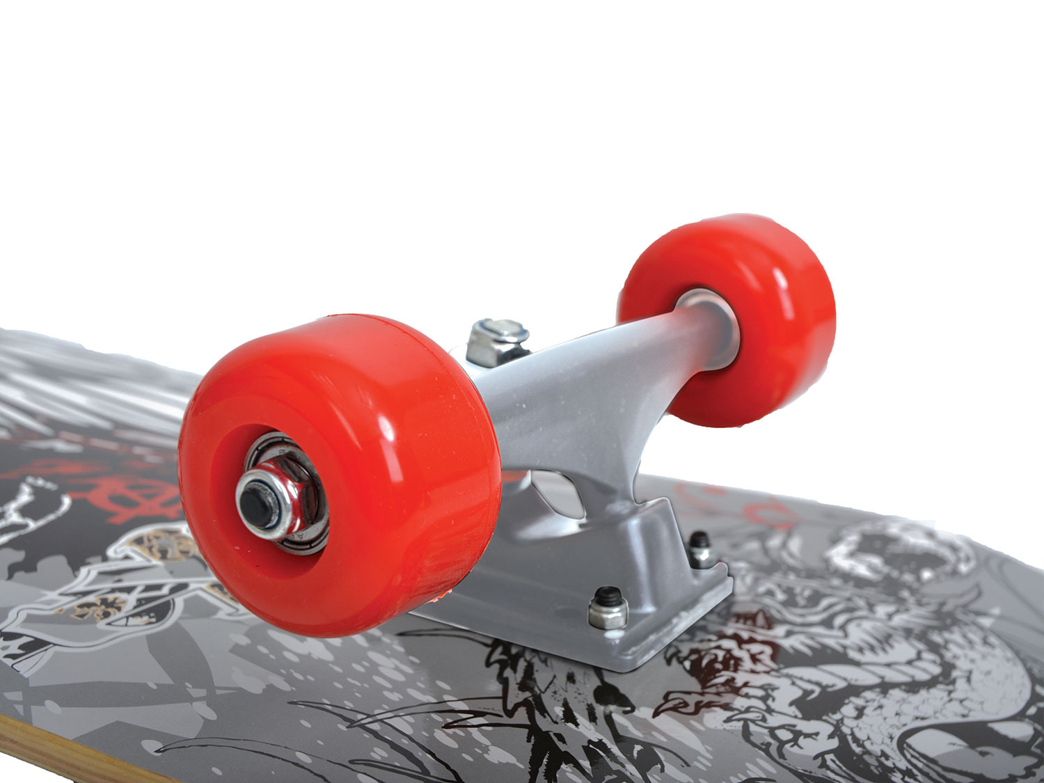 Schildkröt Skateboard Kicker