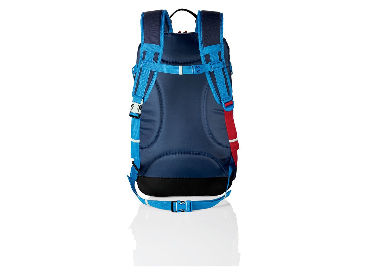 crivit PRO Ski-Rucksack online kaufen | LIDL
