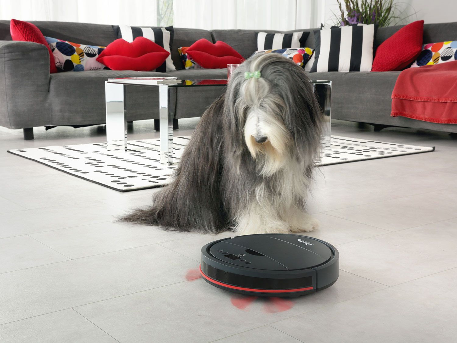 Vileda Vileda VR 201 PetPro Saugroboter | LIDL