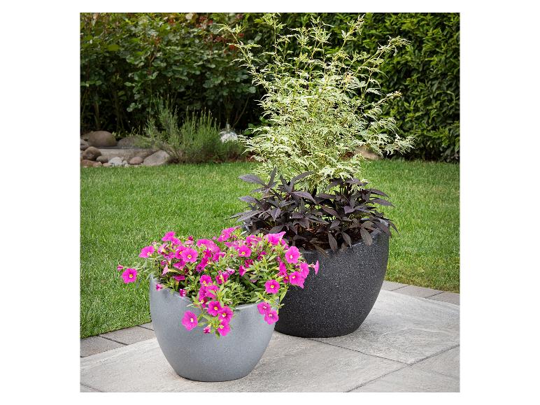 Scheurich Pflanzgefäß Wave Globe