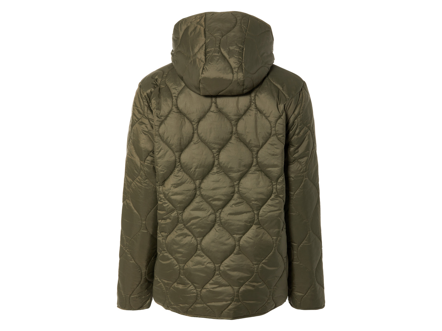 Elegantes Lidl Steppjacke Damen Fotos
