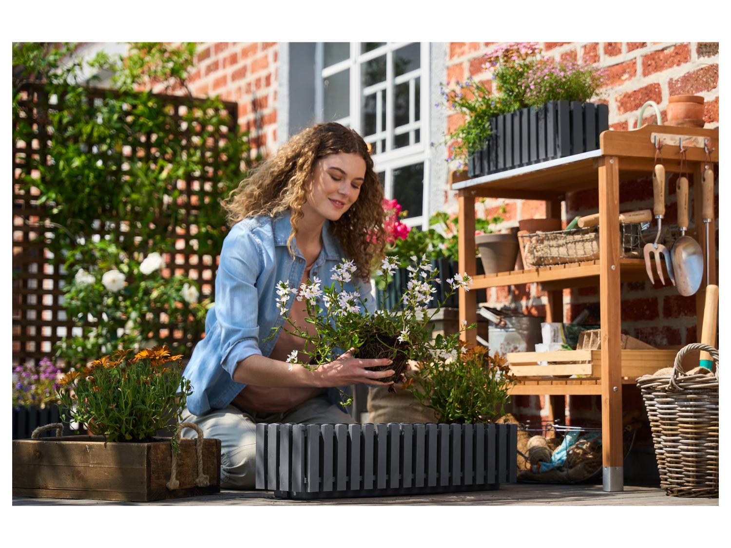 Schone Gelander Blumenkasten Lidl Bild