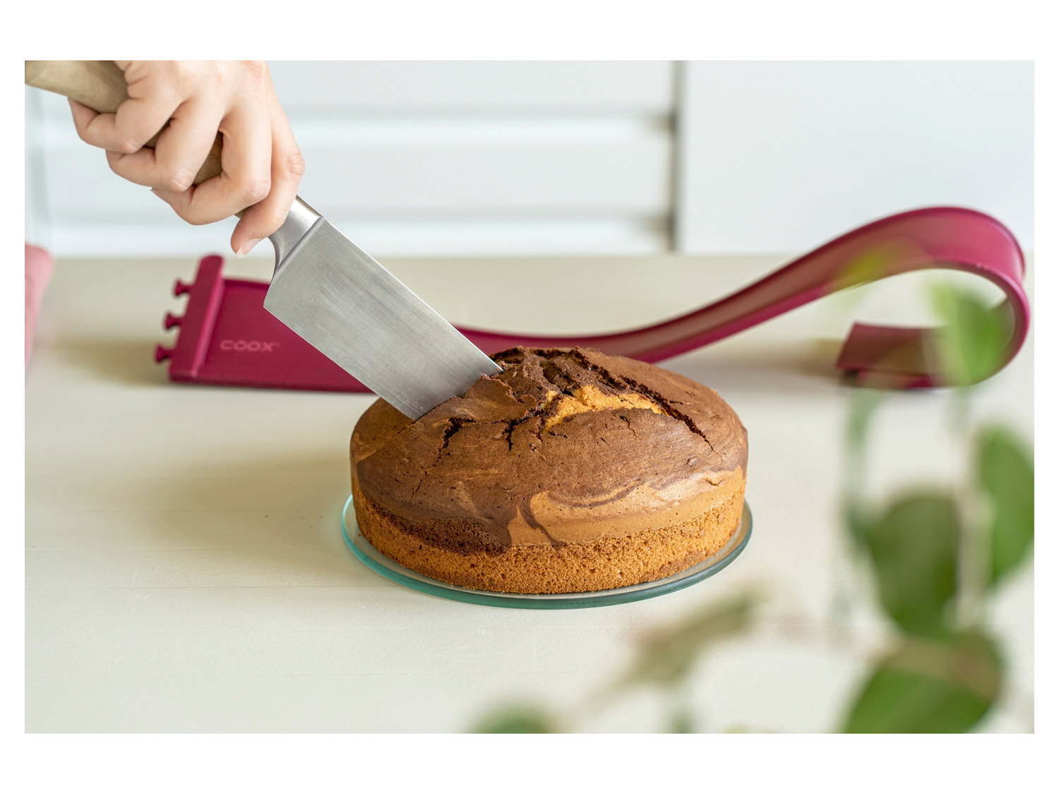 Springform, mit Glasboden, 18 cm online kaufen | LIDL
