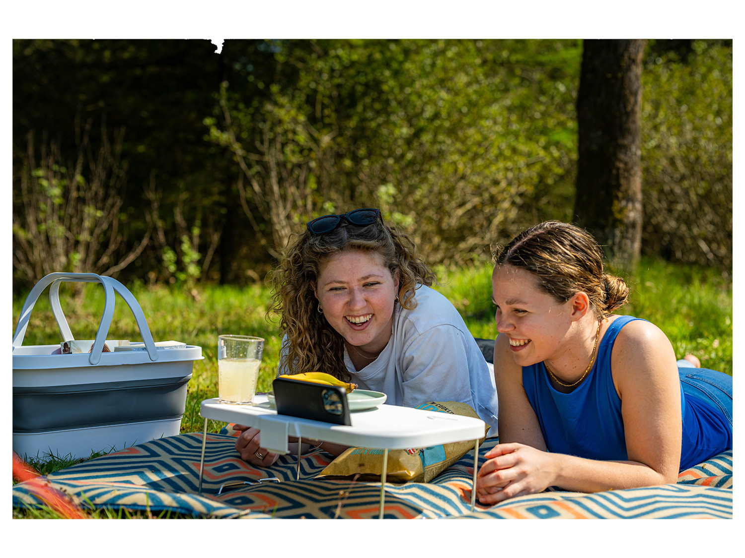 Picknick Box mit Tisch Cerf online kaufen | LIDL