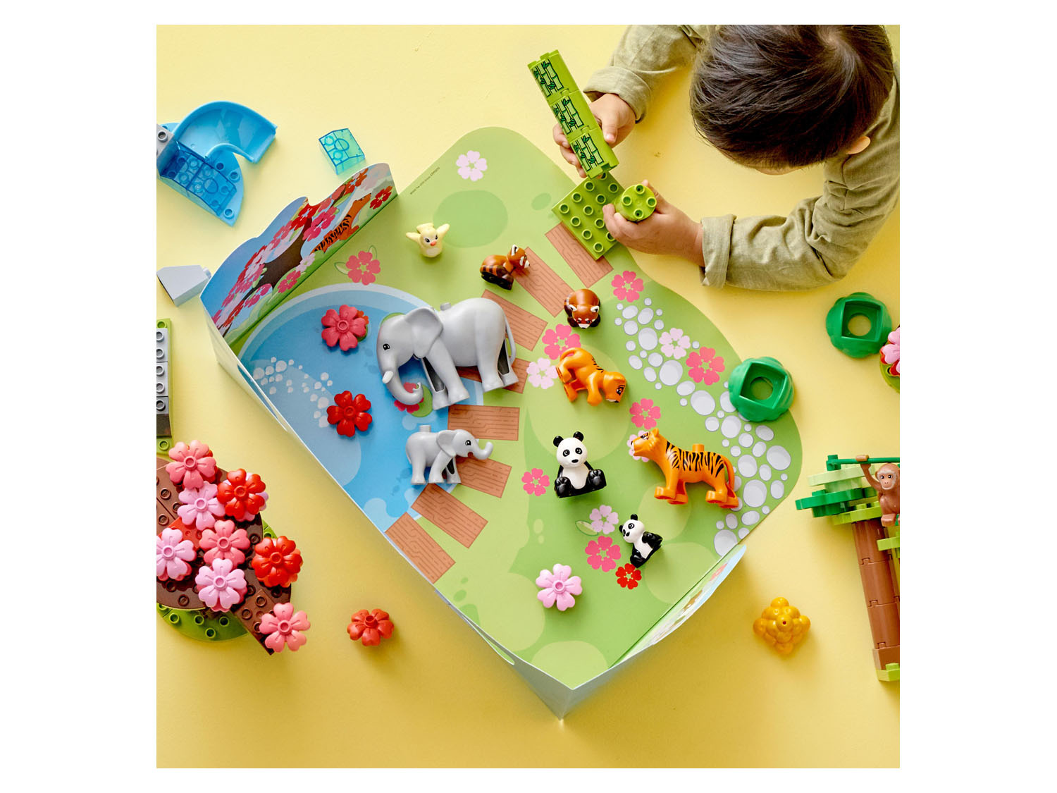 LEGO® DUPLO® 10974 »Wilde Tiere Asiens« | LIDL