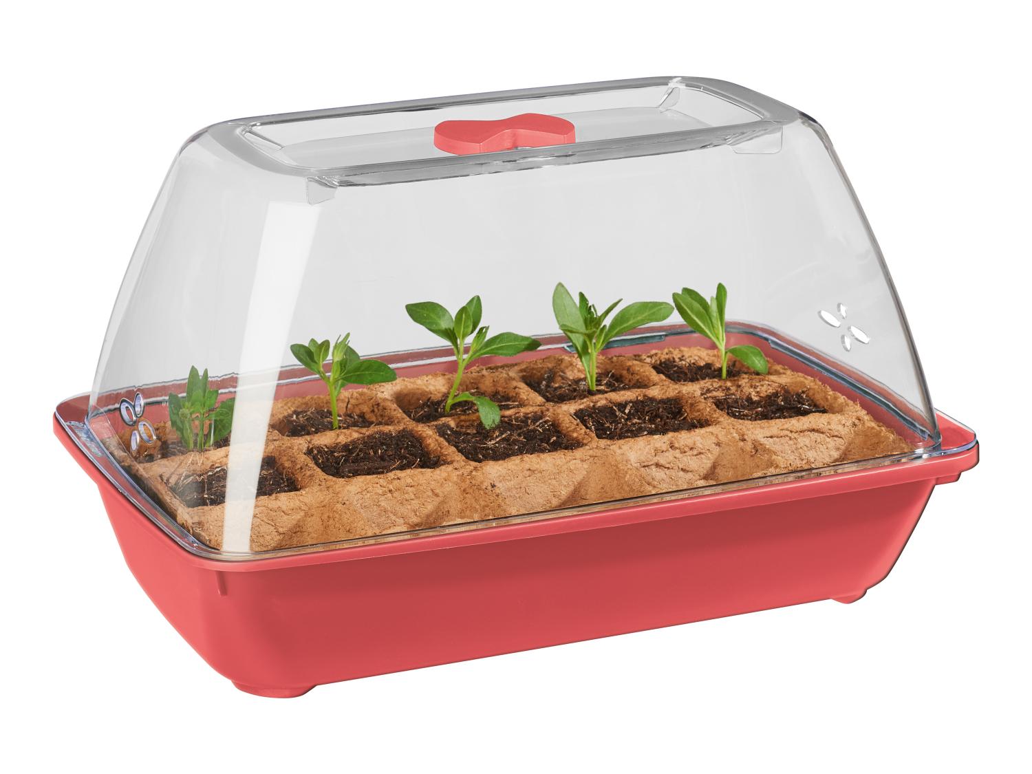 Mini-Gewächshaus mit Bio-Saatgut online kaufen | LIDL