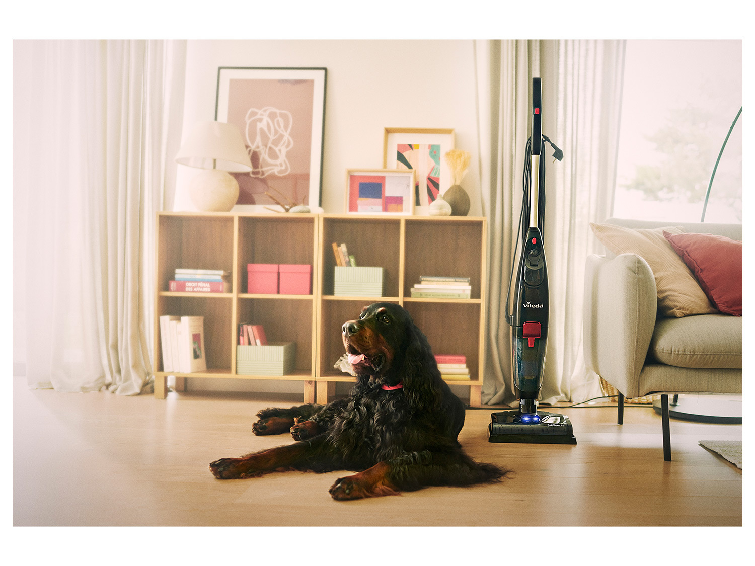 Vileda »Jet Clean PetPro«, Hartbodenreiniger | LIDL