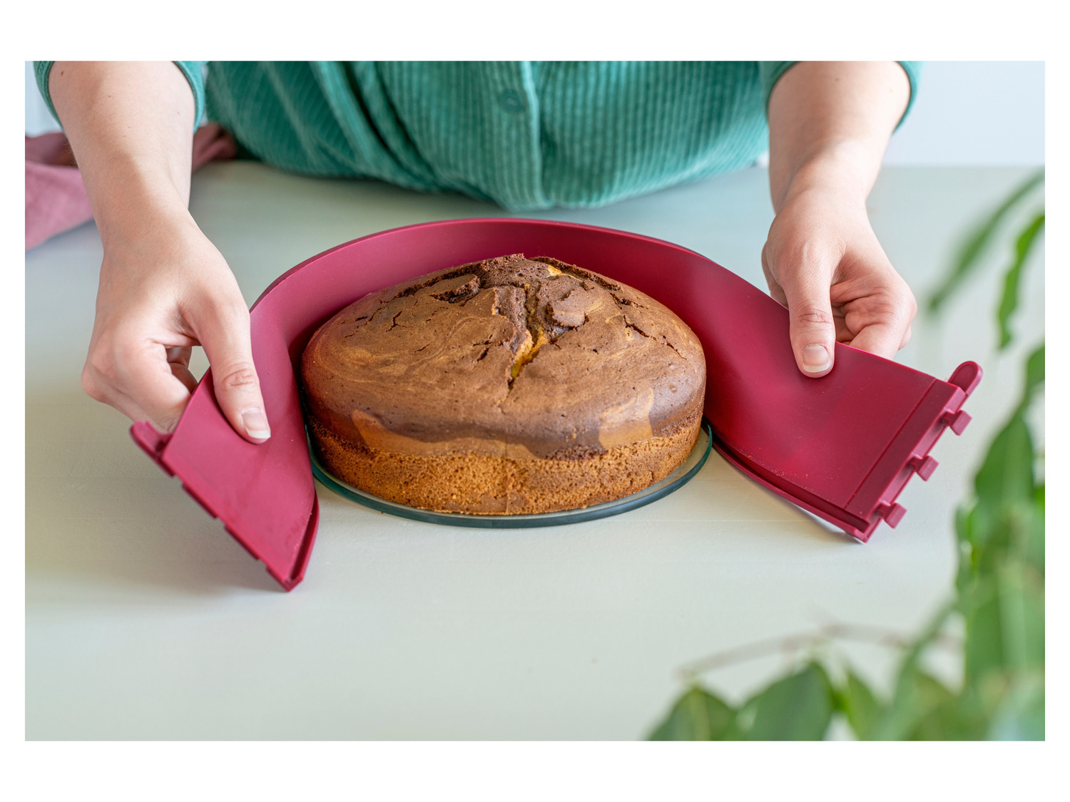 Springform, mit Glasboden, 18 cm online kaufen | LIDL