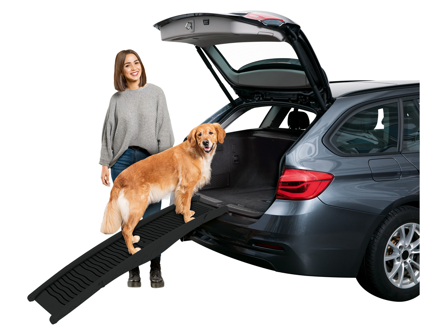 Hunderampe, faltbar online kaufen | LIDL