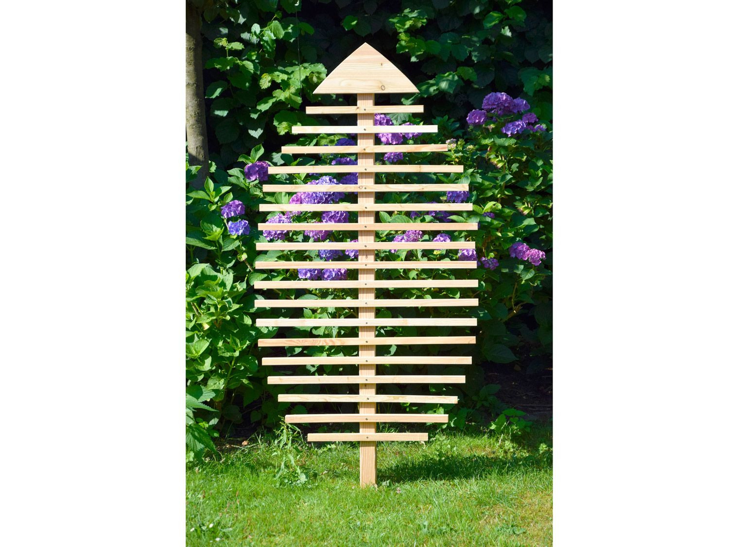 Rankengitter Bei Lidl