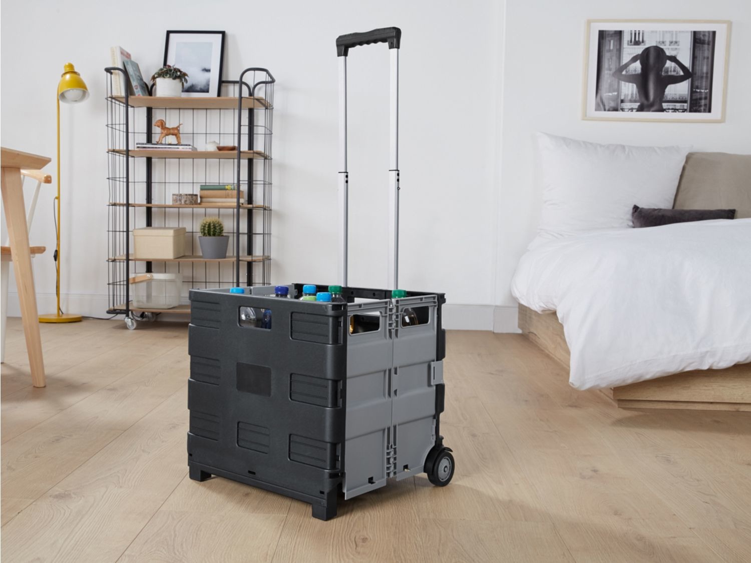 Faltbare Transportbox mit Rollen - Lidl.de