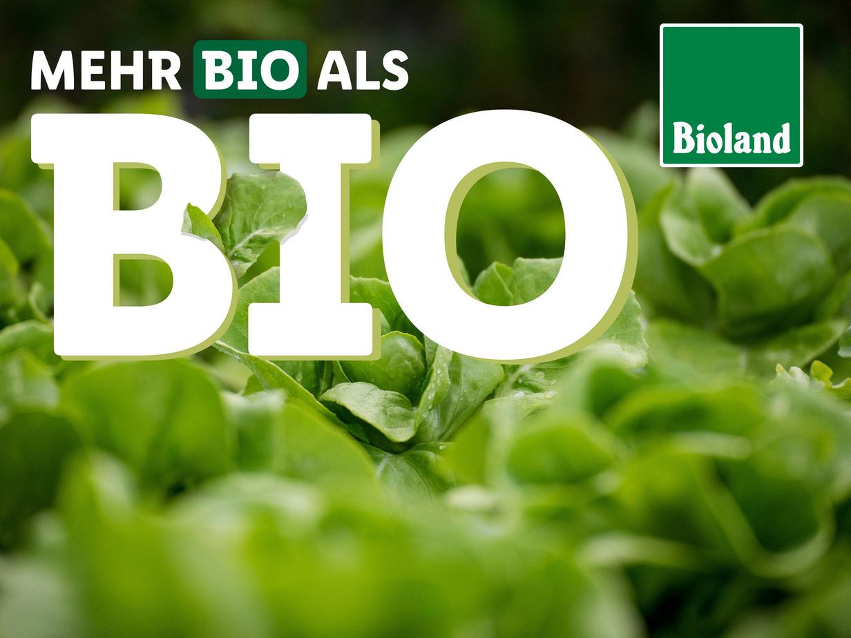 Bio » Entdecke das Bio-Produktsortiment